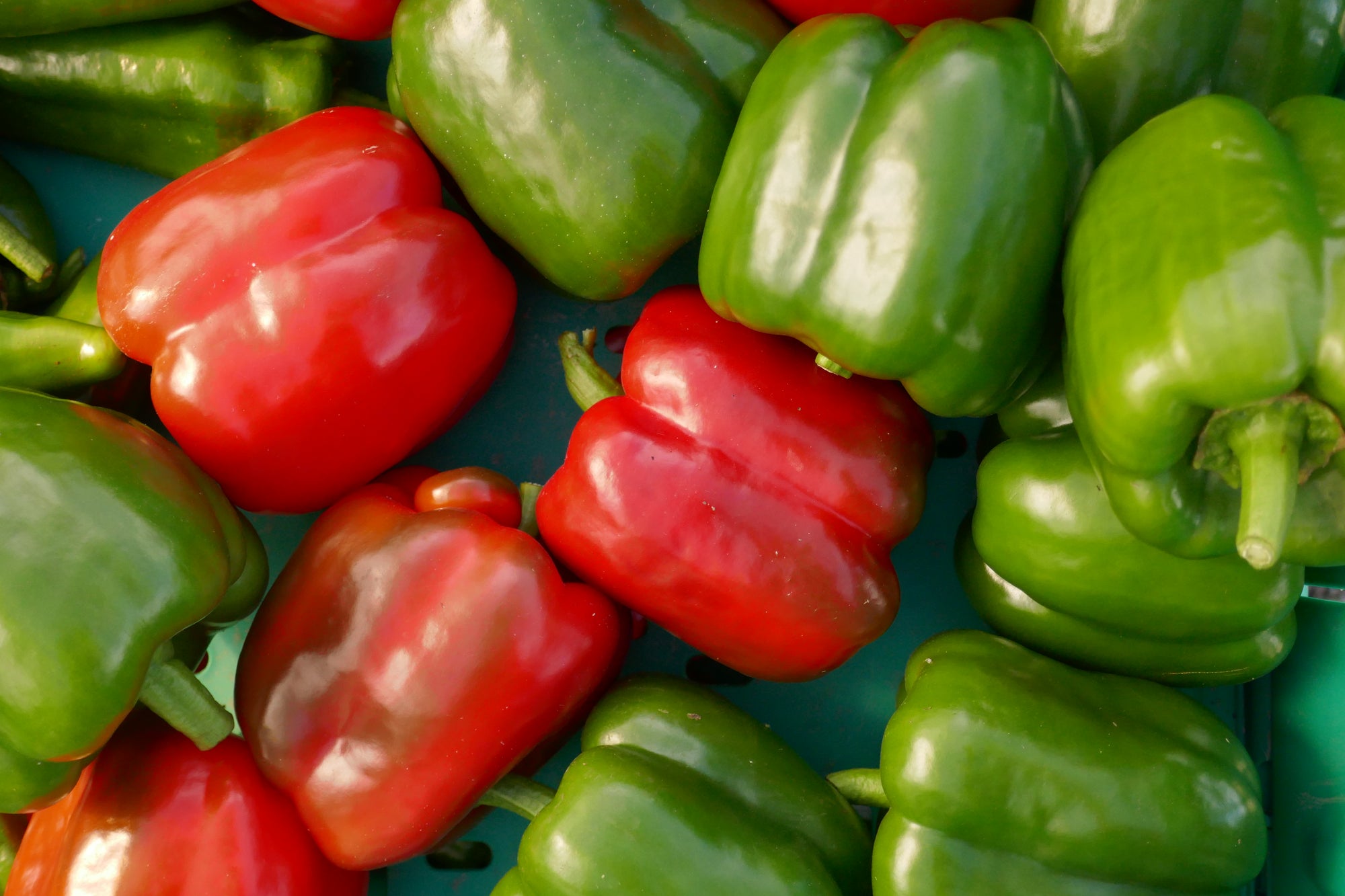 Streamside Organics | Seasonal produce delivered to you ...